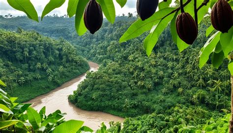 How To Grow Cocoa Beans In Minecraft Easy Guide