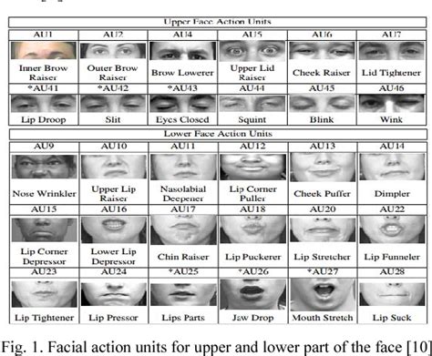 Figure 1 From Facial Action Unit Recognition Using Data Mining Integrated Deep Learning