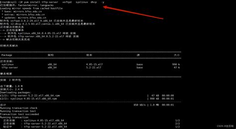 pxe高效批量网络装机 csdn博客