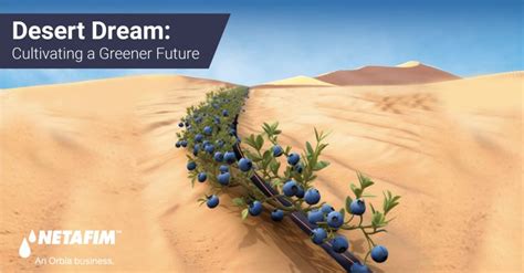 Netafim On Linkedin Water Use Efficiency