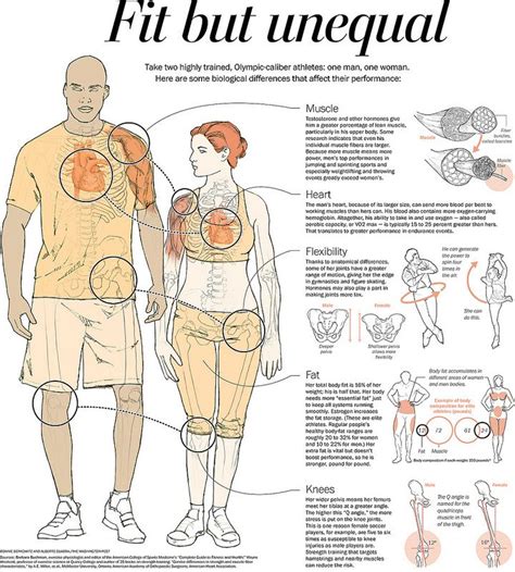 Random Question About Bone Structure R Ftm