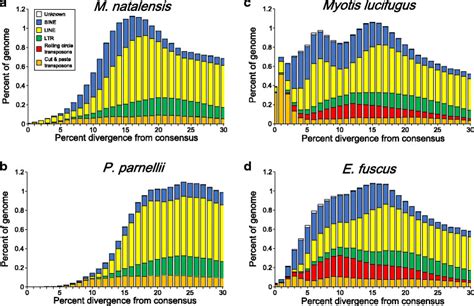Transposable Element Accumulation Profiles In A Miniopterus Natalensis Download Scientific