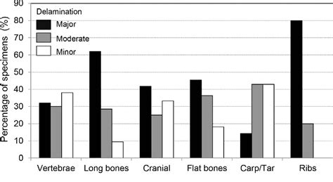 Figure 1 From Conservation Of Subfossil Bones From A Lacustrine Setting