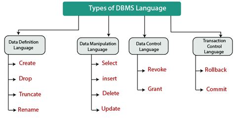 DBMS