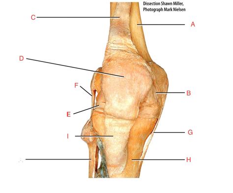 Exam 1 Practice Test Lecture Homework S Diagram Quizlet