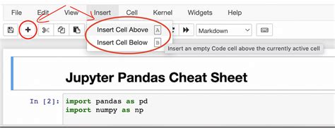 A Data Engineers Cheat Sheet On Pandas And Jupyter Notebooks By