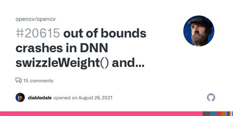 Out Of Bounds Crashes In Dnn Swizzleweight And Copyweightsswizzled