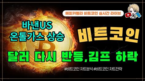 비트코인 실시간 달러 다시 반등 김프하락 바이낸스us 온톨로지가스 상장 11월 7일 저녁💎 비트코인 비트코인실시간