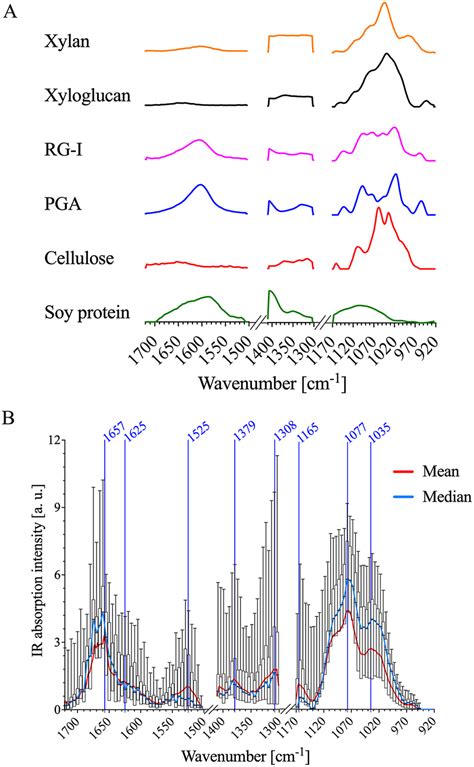 Afm Ir Data Of Pfa Fixed A Thaliana Stem Epidermal Cell Wall Show