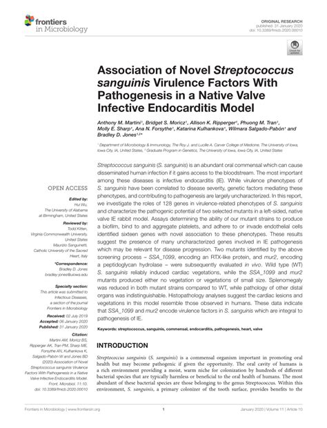 Pdf Association Of Novel Streptococcus Sanguinis Virulence Factors With Pathogenesis In A