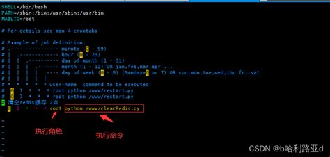 Linux定时执行python脚本linux定时任务运行python脚本不结束进程 Csdn博客