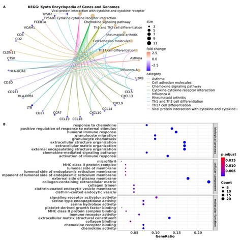 Functional Annotation And Enrichment Analysis A Enrichment Analysis