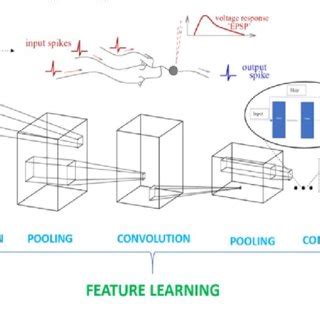 PDF Deep SCNN Based Real Time Object Detection For Self Driving Vehicles Using LiDAR Temporal Data