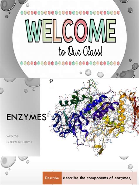 Week 7 8 Enzymes Pdf Enzyme Active Site