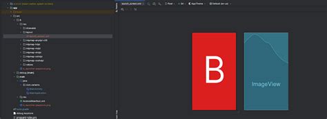 Mobile Application App Variants With Different Splash Screens And App Icons — React Native By
