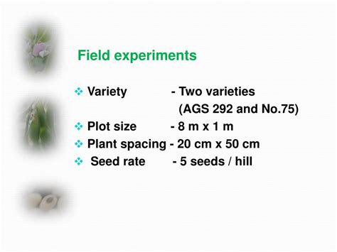 Ppt Physiological Maturity And Effect Of Seed Priming On Germination