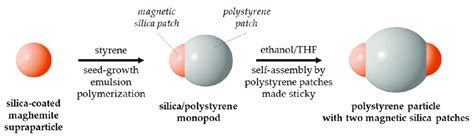 Scheme Showing The Two Step Synthesis Pathway To Obtain Polystyrene Download Scientific Diagram