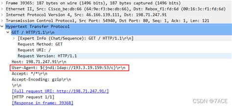 wireshark ts 网络数据包角度看 log4j log4j流量特征 csdn博客