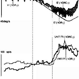 Firing Behavior Of A Smooth Pursuit Neuron During Sinusoidal Smooth