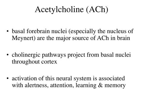 Ppt Lecture 2 Acetylcholine Powerpoint Presentation Free Download Id 3824244
