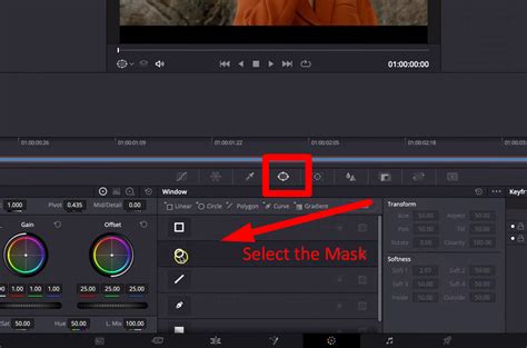 2 Ways To Blur Part Of Video In Davinci Resolve Hollyland