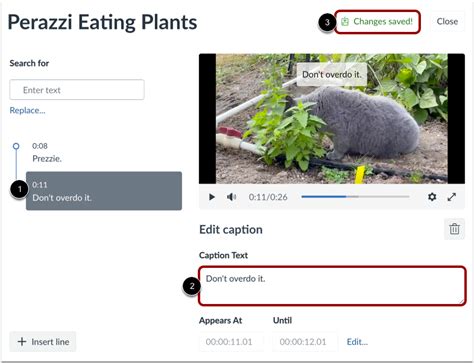 How Do I Use The Caption Editor To Edit A Caption File Instructure