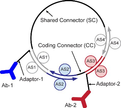 Figure 1 From Design And Validation Of Dna Libraries For Multiplexing