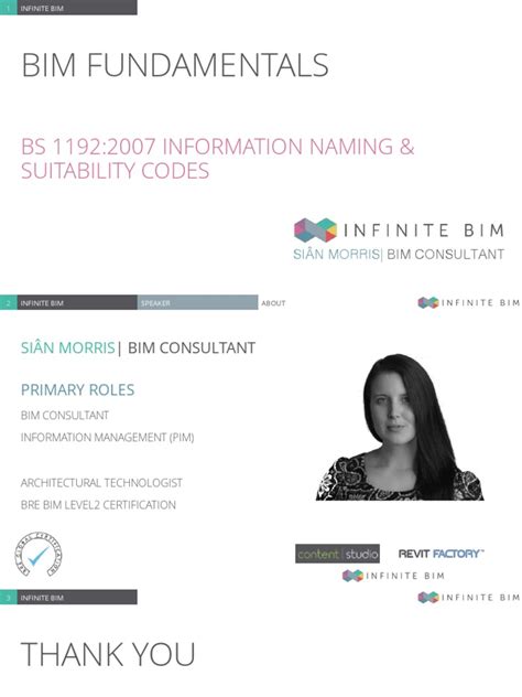 Infinite Bim Bs1192 Naming Dymistified Pdf Building Information Modeling Areas Of Computer