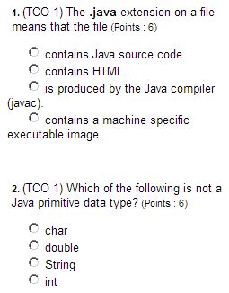 Solved TCO The Java Extension On A File Means That The Chegg