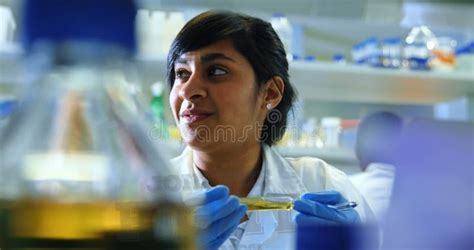Image Of Data Processing Over Biracial Laboratory Scientist Stock Image