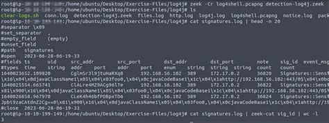 Tryhackme Zeek Exercises Igorsecs Blog