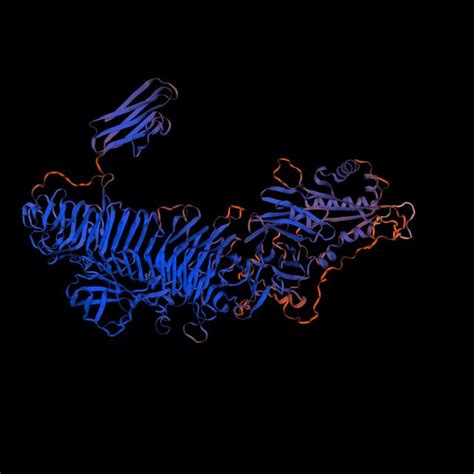 Protein Structures Of Pkhd 1 Protein Modeled Using Swiss Model