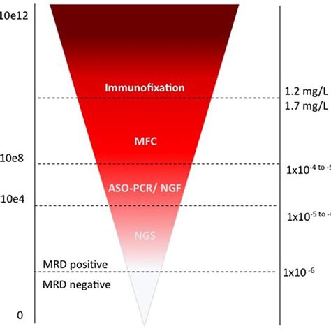 Mrd Assessment By Mfc And Pcr Download Scientific Diagram