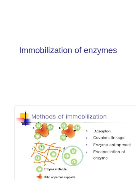 Enzyme Immobilization Pdf