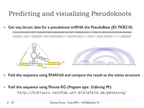 ppt a brief tutorial on rna folding methods and resources… powerpoint