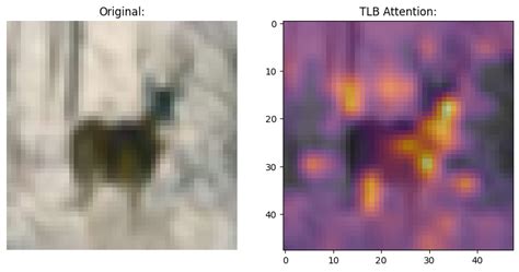 When Recurrence Meets Transformers