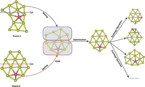The Schematic Diagram Of Mating Operator By Cut And Swap Operator Via