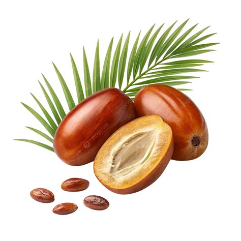 Date Palm Fruit