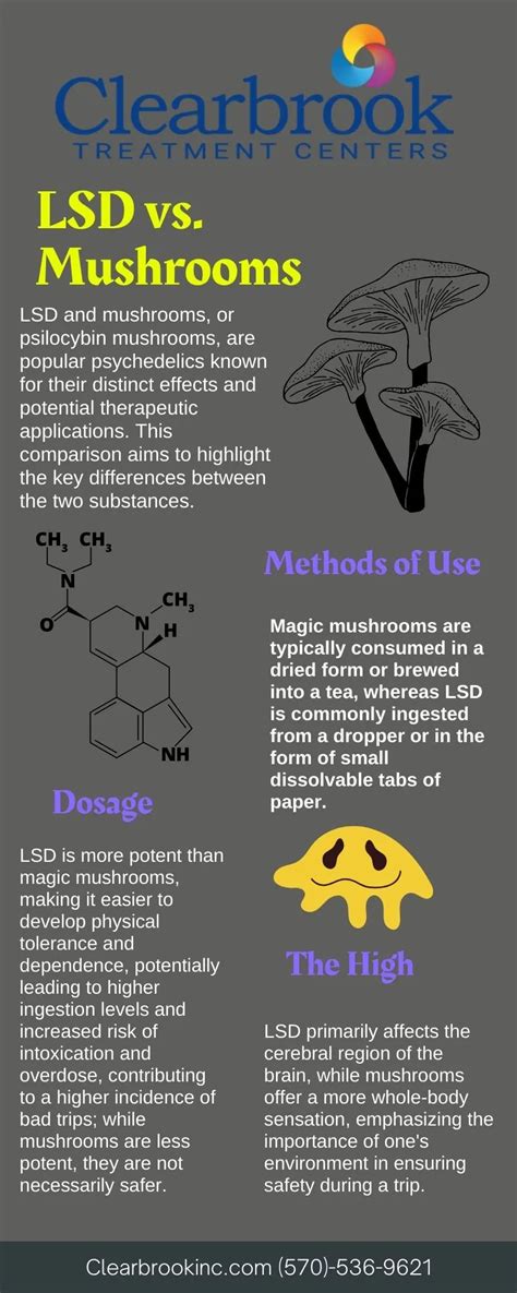 Fun Things To Do While Tripping On Shrooms 60 Photos