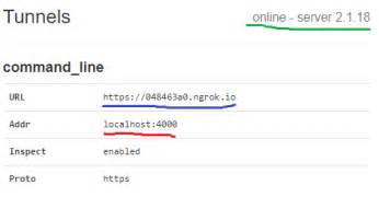 Javascript How To Programmatically Test If Ngrok Is Already Running Stack Overflow