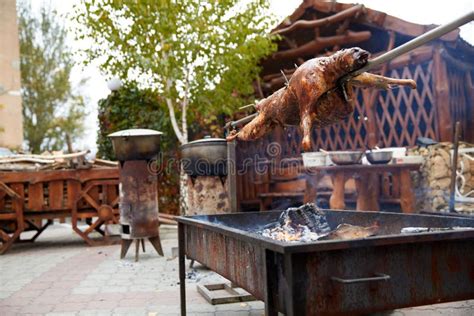 Rabbit On A Spit On The Grill Roasts Stock Photo Image Of Grilling Grilled