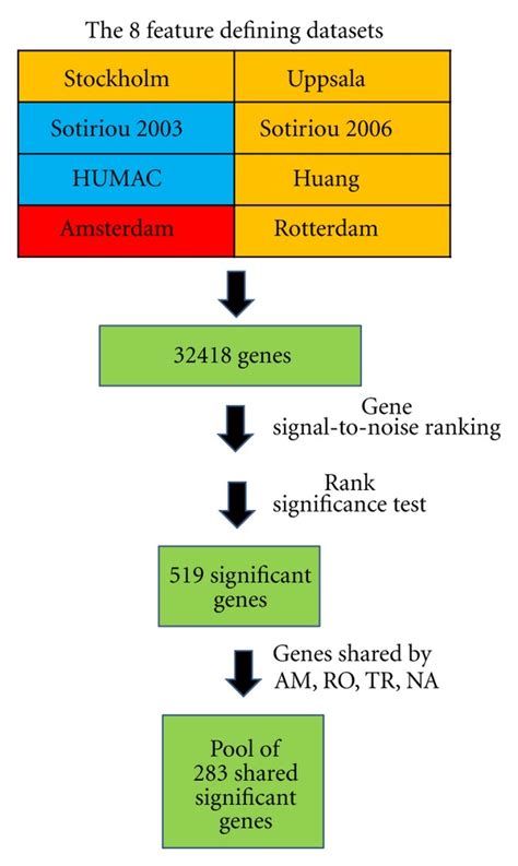 feature selection eight breast cancer gene expression datasets