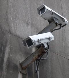 Sex And Surveillance Truthout