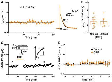 CRF Causes No LTP Without IP 3 Induced Ca 2 Signal Facilitation A Download Scientific