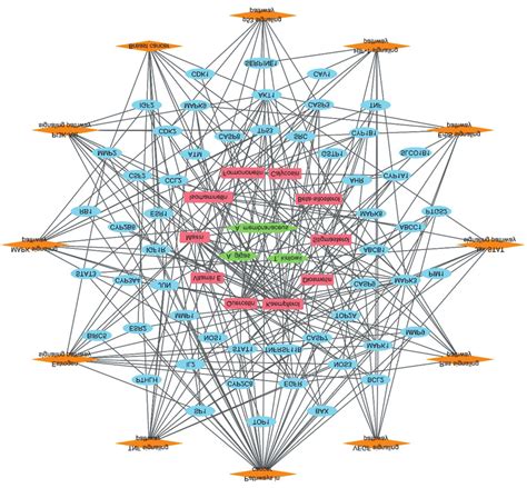 The Herb Compound Target Pathway Network Green Hexagons Indicate The