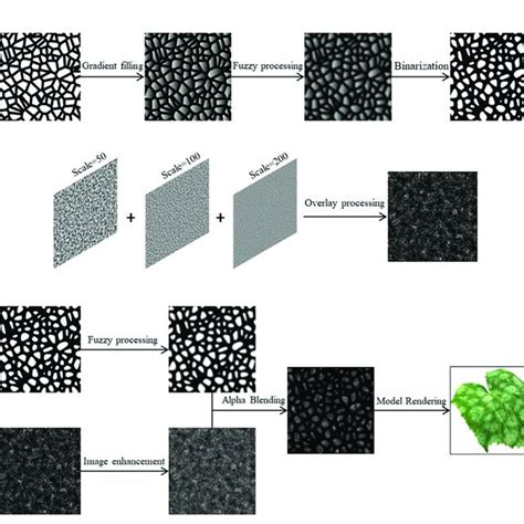 Schematic Diagram Of Cucumber Powdery Mildew Simulation A Download Scientific Diagram