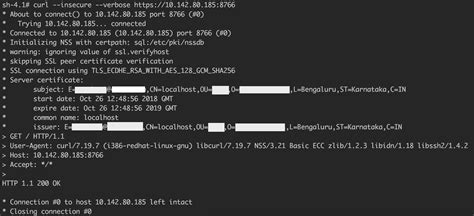 GitHub Umnagendra Docker Ssl Demo Demo SSL Server To Test TLS Connections Into A Docker Container