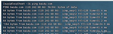 网络传输：linux下的网络请求和下载（ping Wget Curl）、端口linux实时网络请求 Csdn博客