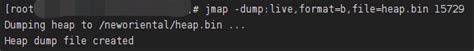 Java的jmap命令使用详解 Csdn博客
