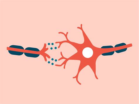 Processing Speed And The Brain Understood For Learning And Thinking